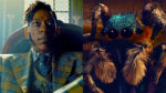 Anansi African Folklore: The Mysteries Of The Spider God - Consult Ifa