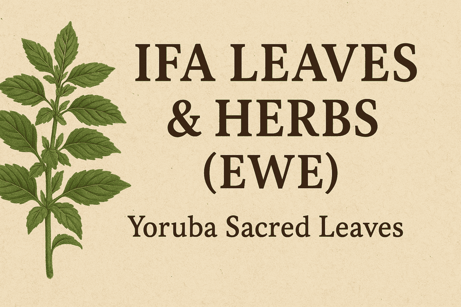 Ifa Leaves & Herbs – Sacred Ewe For Orisha Rituals & Spiritual Use